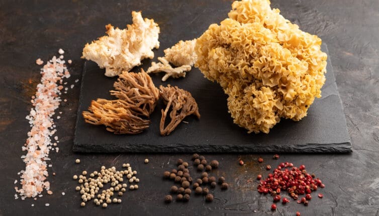 Rock's Discount Vitamins - Supplements & Vitamins Store | Rock's ...